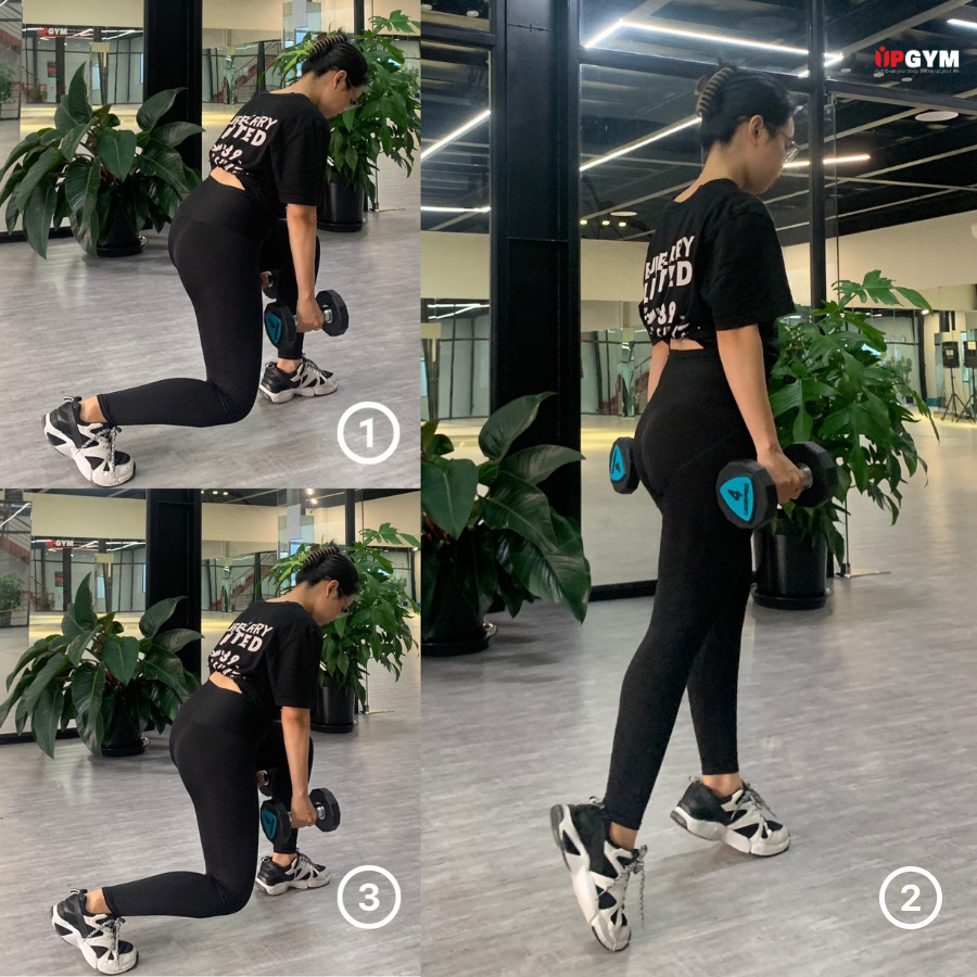 Hướng Dẫn Cách Tập Gym Hiệu Quả Cho Nữ