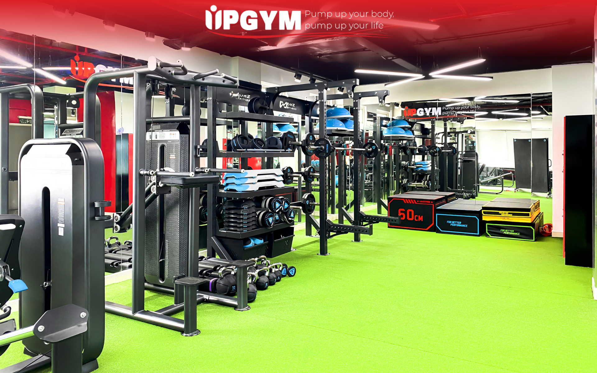Giá Tập Gym Quận 8 Có Cao Không? Tiêu Chí Chọn Phòng Gym - UP GYM - Hệ ...